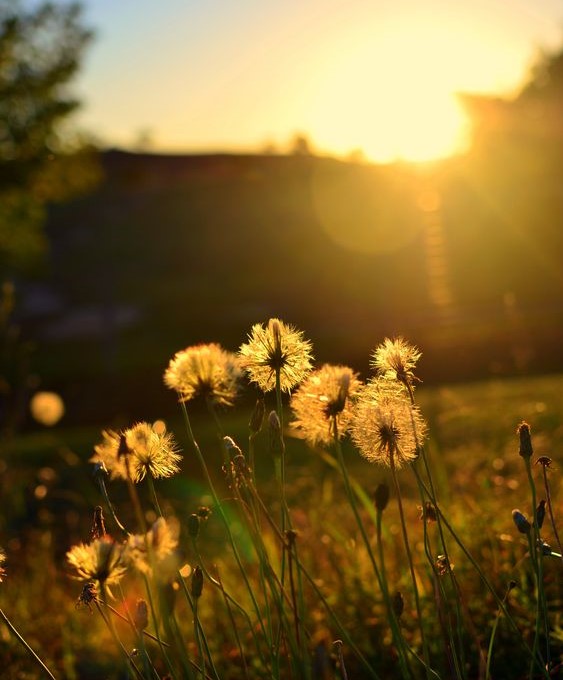성경진리사역원(BTMK) | 북한 복음화를 위한 기도 제목 - 10월 4일(화)